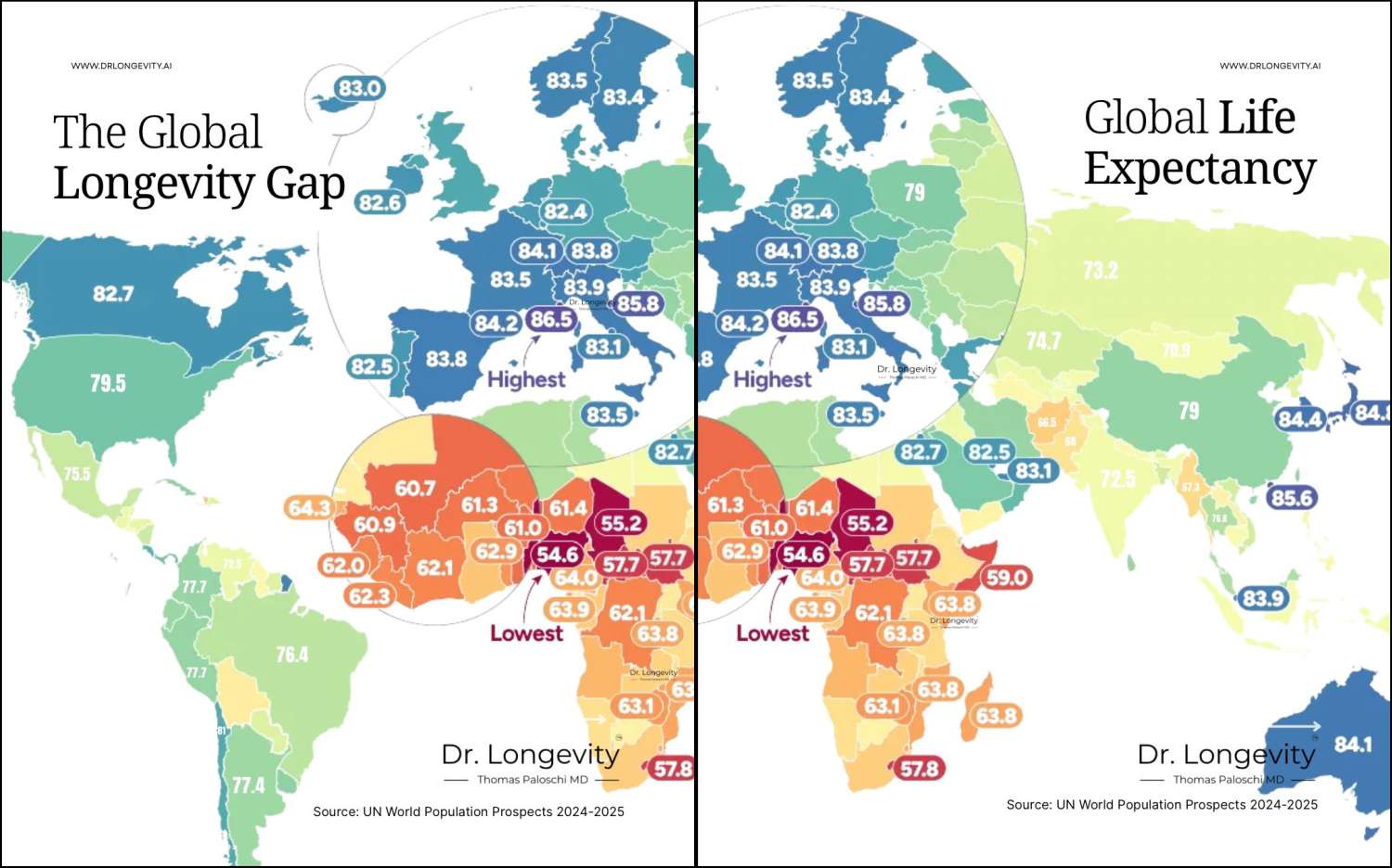 The Global Longevity Gap